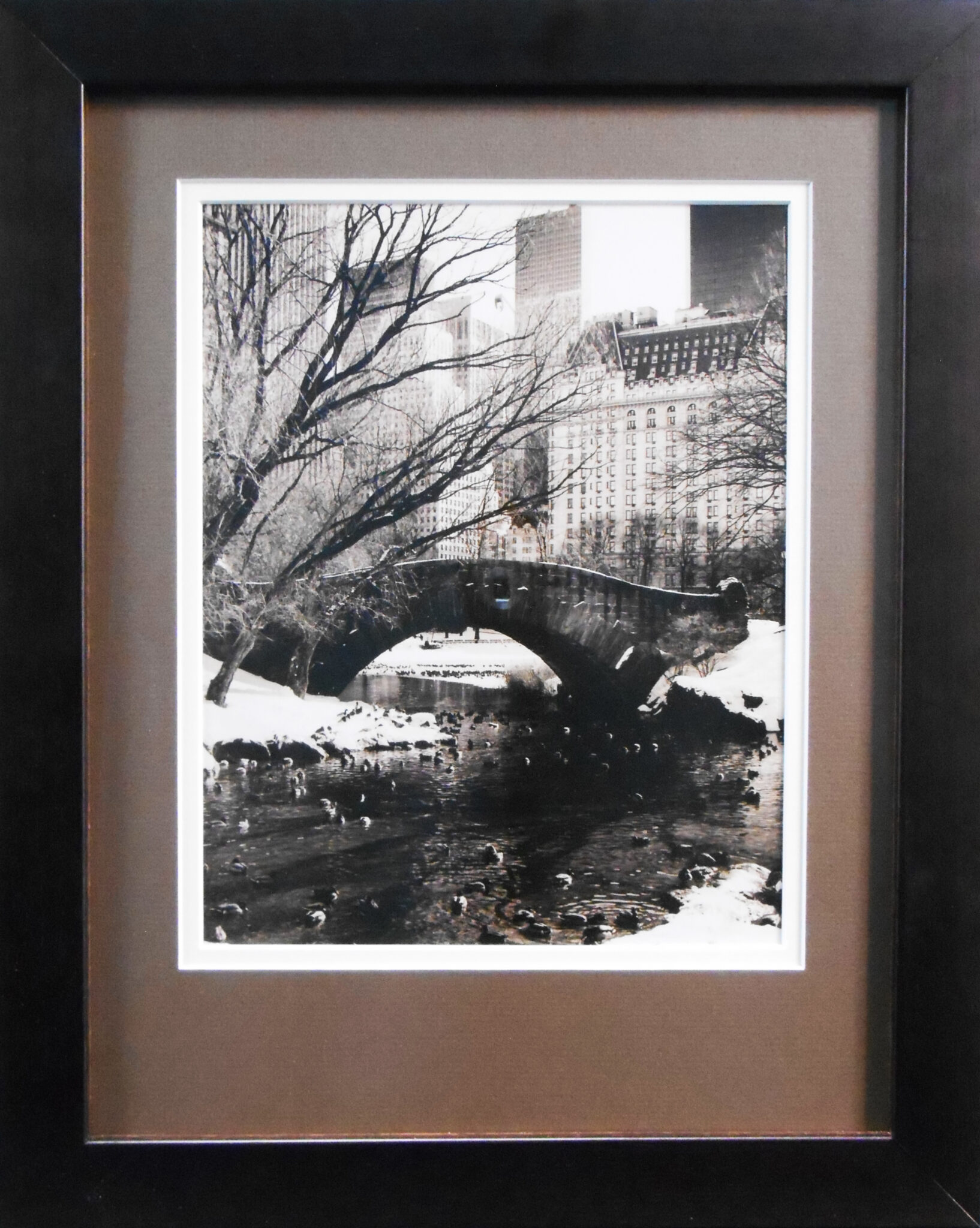 Central Park | Academy Art & Frame Company